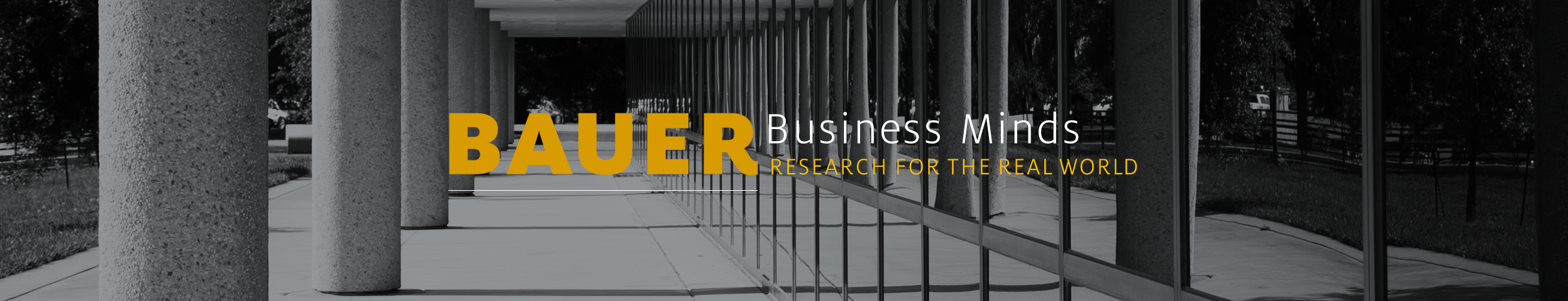 Undergraduate Research - Bauer Business Minds: Research for the Real World